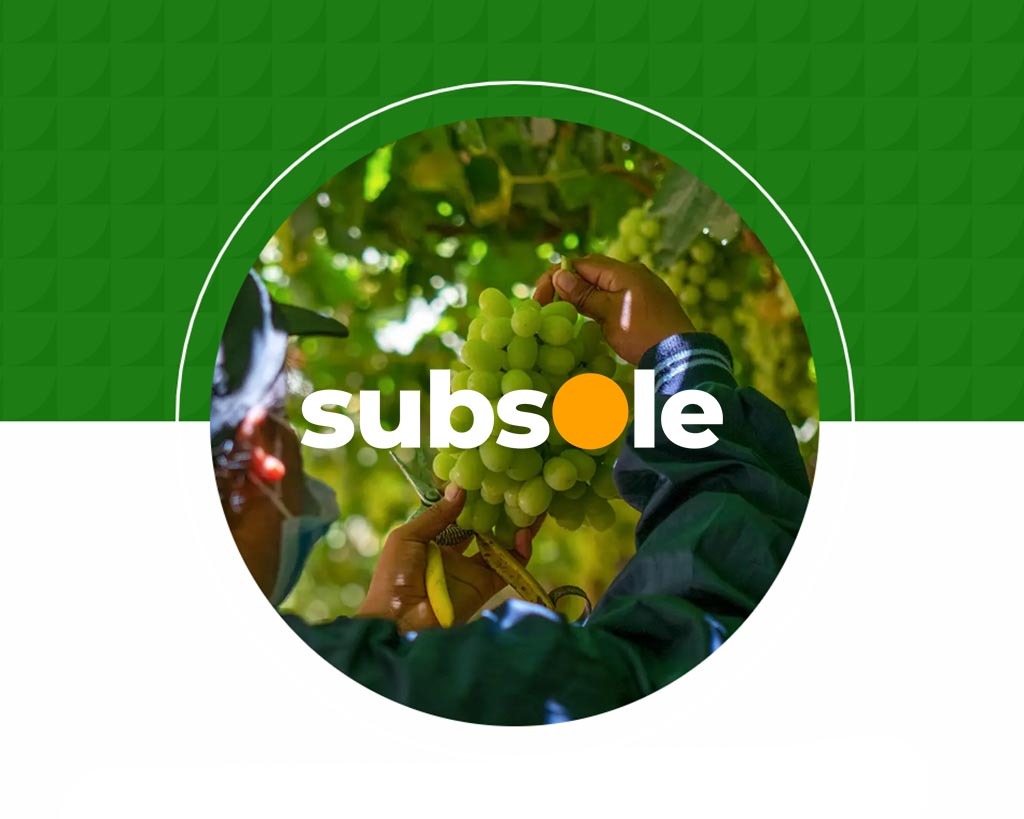 Fruit — Subsole